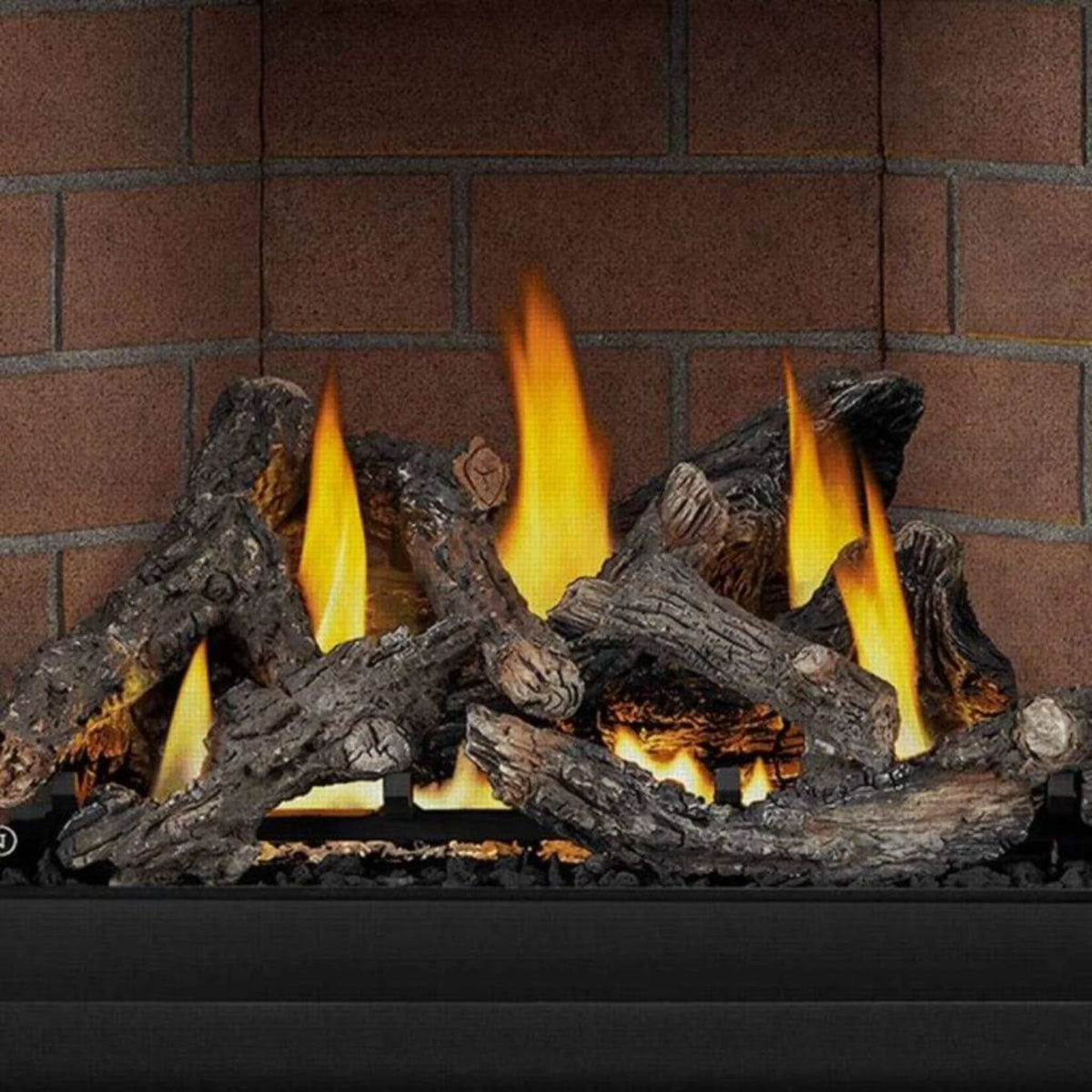 Napoleon - Split Oak Log Set for 42" - Altitude™ X Series — Klondike AC